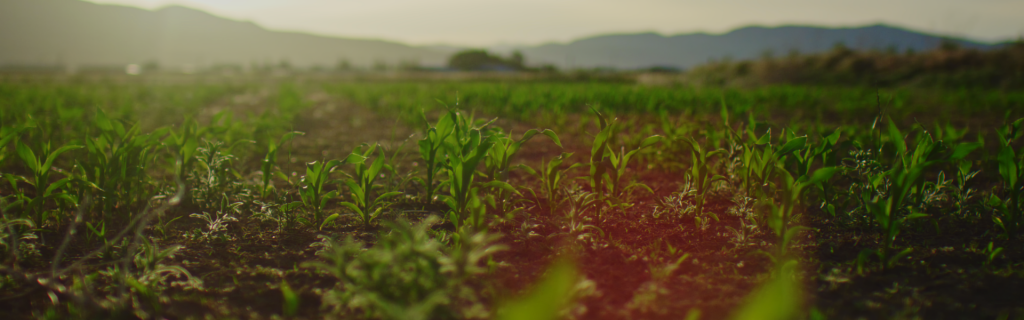 News | Utah Department of Agriculture and Food